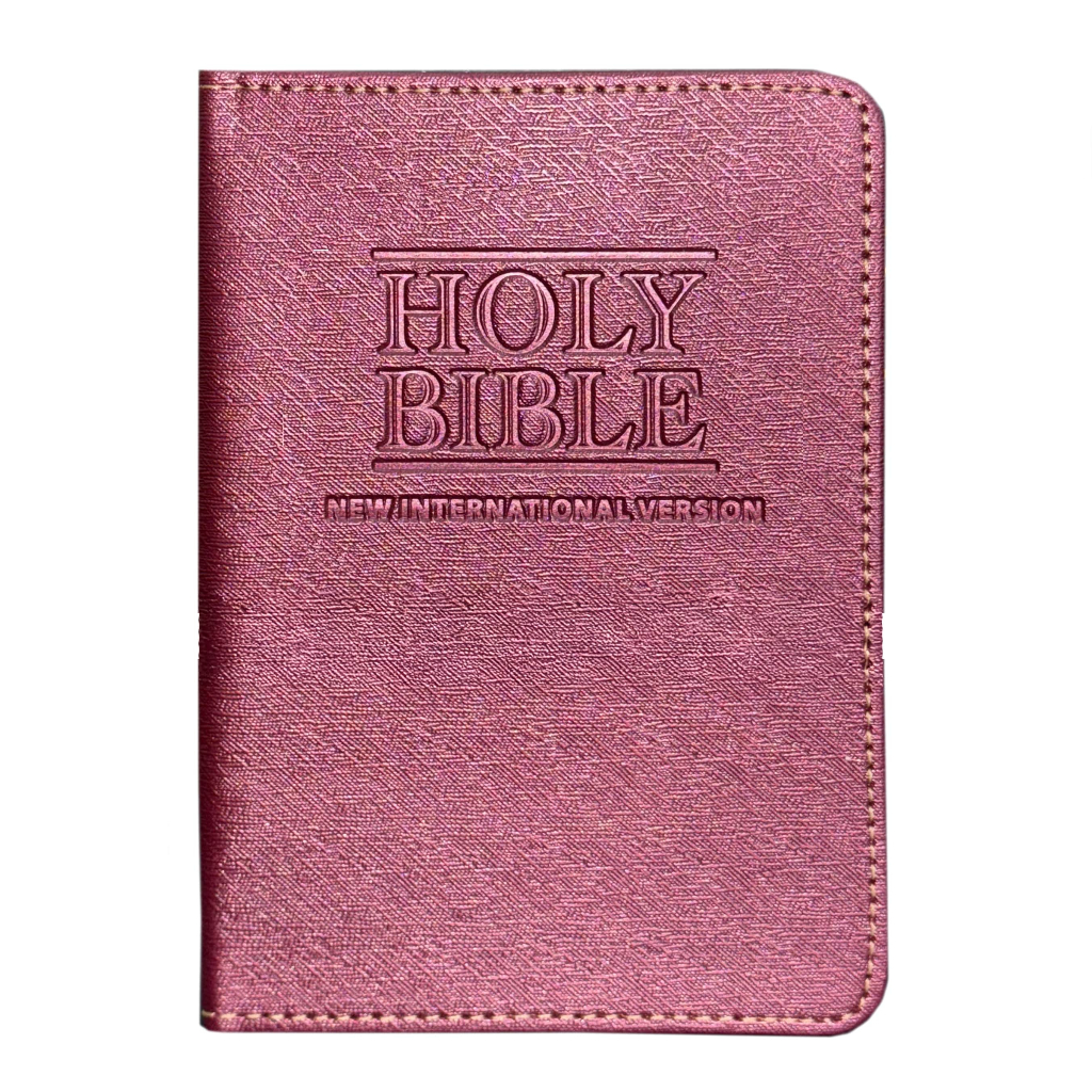 Jual Alkitab NIV Uk. Kecil (034 NIV BIBLE COMPACT) | Shopee Indonesia