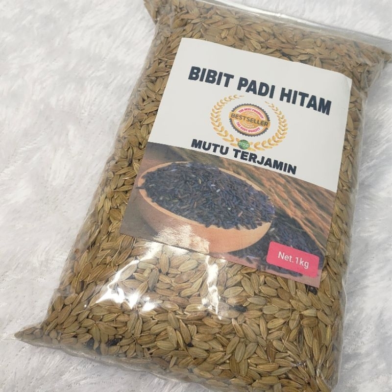Jual Cod gabah padi hitam kemasan 1 kg | Shopee Indonesia