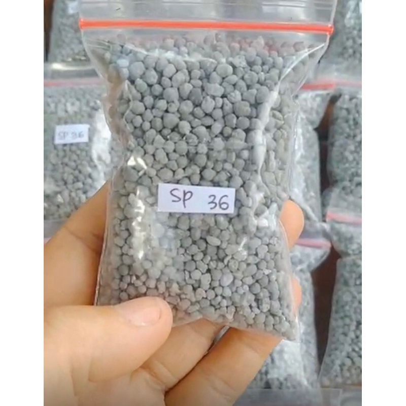 Jual Pupuk SP 36 merangsang pembungaan dan pembentukan biji repack 50 gram | Shopee Indonesia