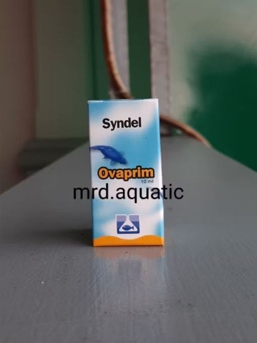 Jual Ovaprime syndel 10ml original | Shopee Indonesia