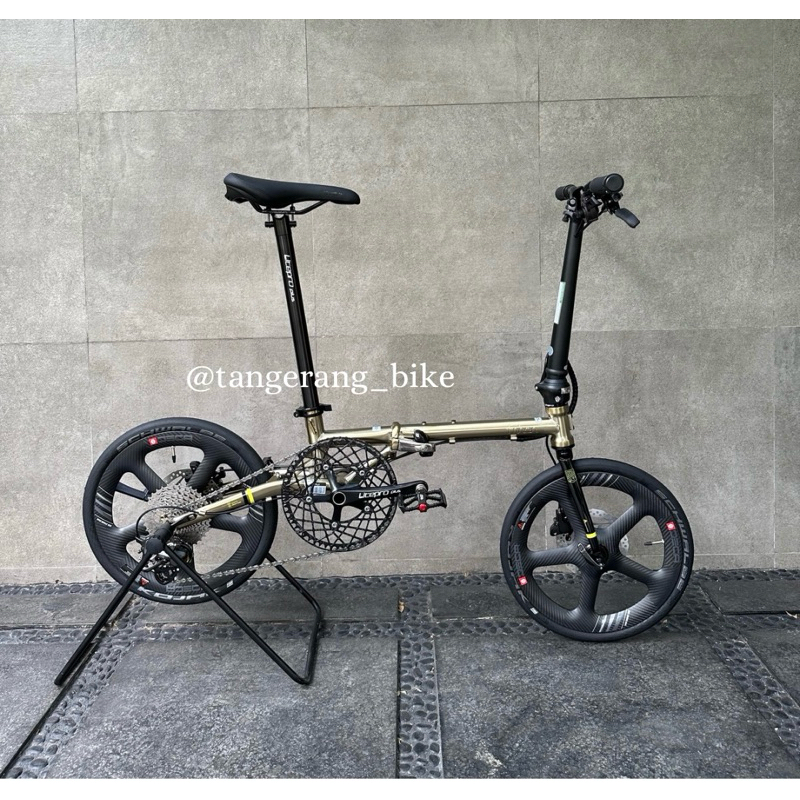 Jual Sepeda Fnhon Gust Discbrake 16 Inch 10 Speed Wheel Carbon New ...