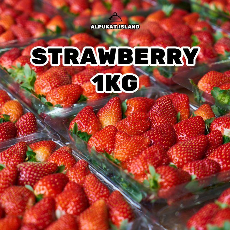 Jual strawberry fresh murah ukuran sedang 1kg | Shopee Indonesia