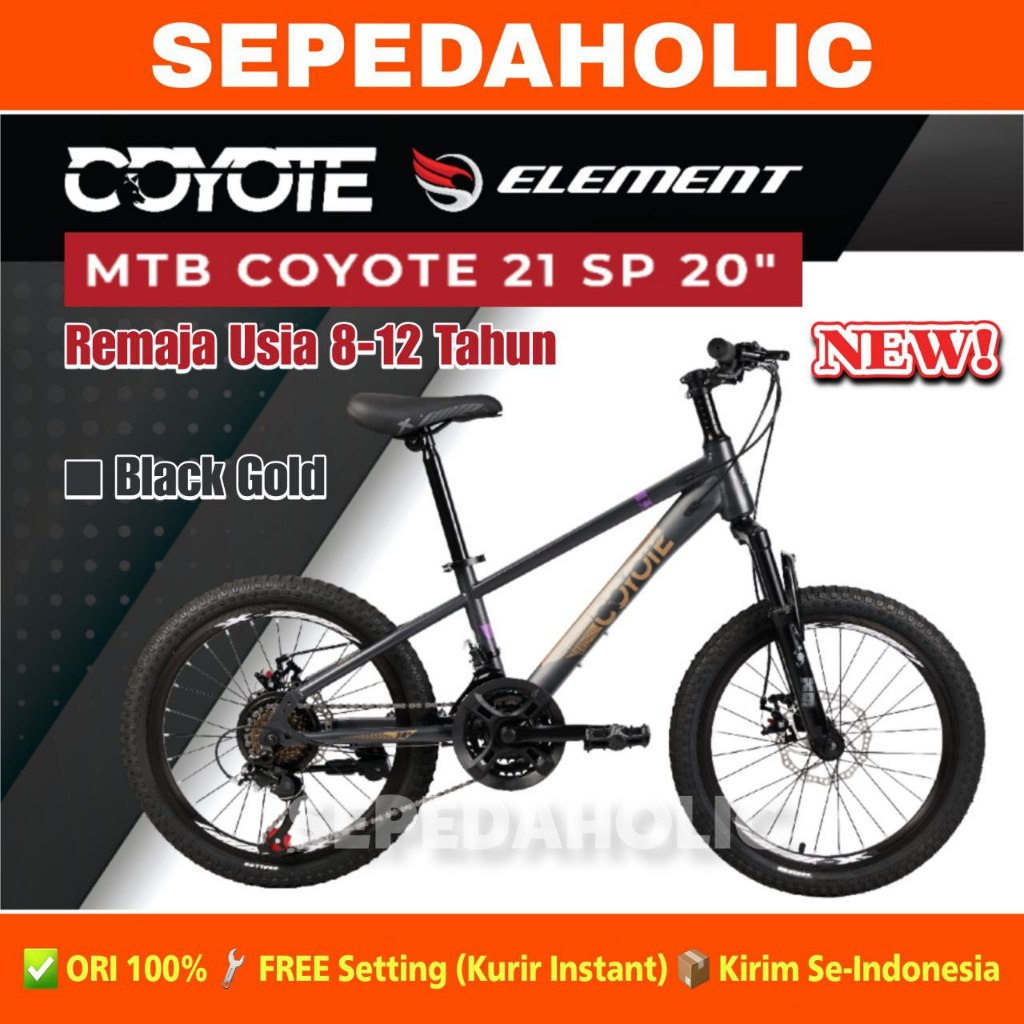 Jual Sepeda Gunung Anak Laki MTB COYOTE BY ELEMENT Ukuran 20 Inch Usia ...