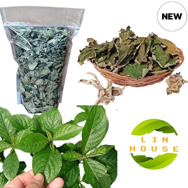 Jual Daun Pecah Beling-Ki beling Kering Obat Batu Ginjal Ampuh 100 Gr ...