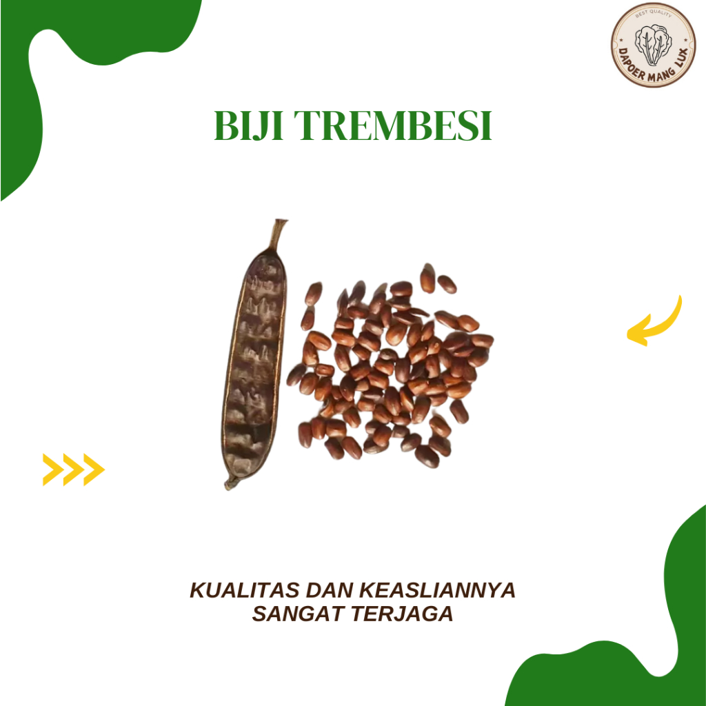 Jual EKSTRAK BIJI TREMBESI BEST SELLER | Shopee Indonesia