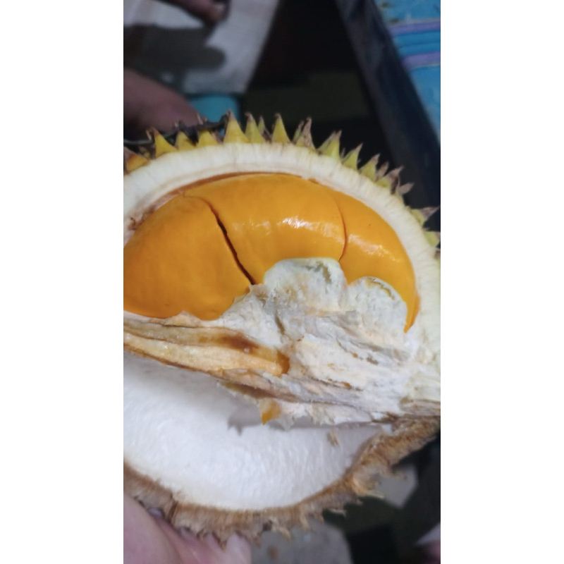 Jual buah lay | Shopee Indonesia