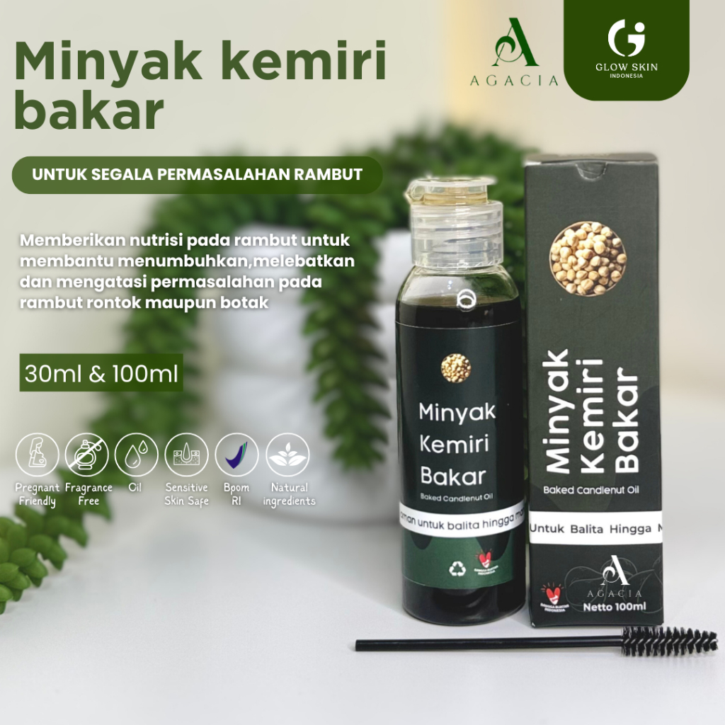 Jual (COD) Minyak Kemiri Bakar Alami Original Asli 100ml Penumbuh dan ...