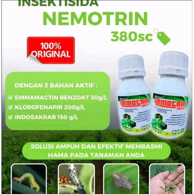 Jual neotrin ORIGINAL insektisida 380 sc obat pembasmi hama gulma ...