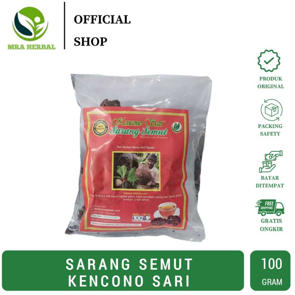 Jual Sarang Semut Kencono Sari 100 Gr | Sarmut Sarang Semut Asli Papua ...