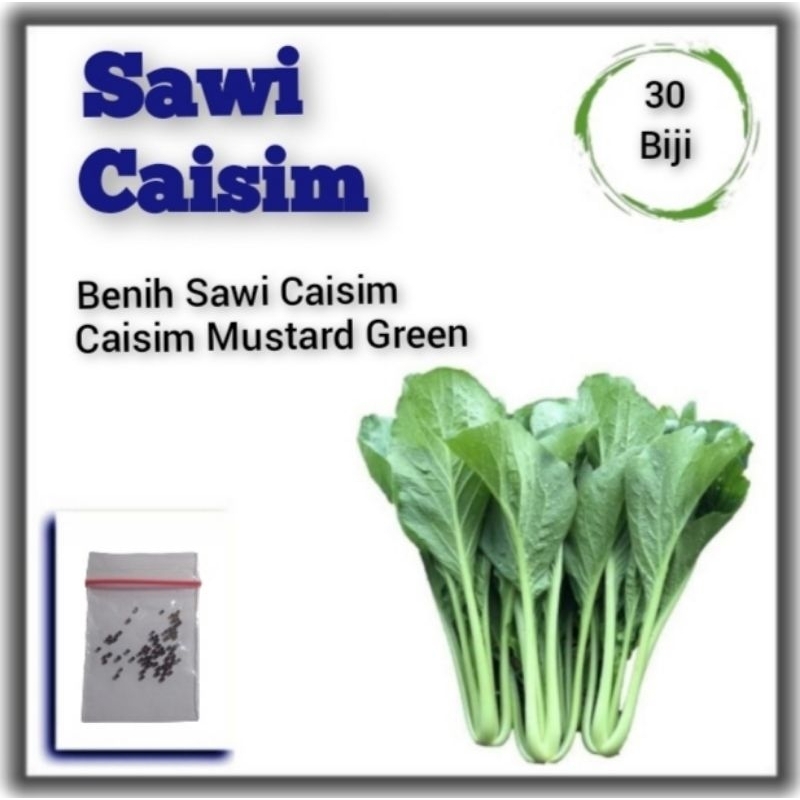 Jual Benih Sawi Caisim Shinta Manis Cap Panah Merah Bibit Tanaman ...