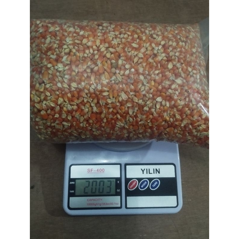 Jual jagung keristal pakan merpati/burung dara 2kg | Shopee Indonesia