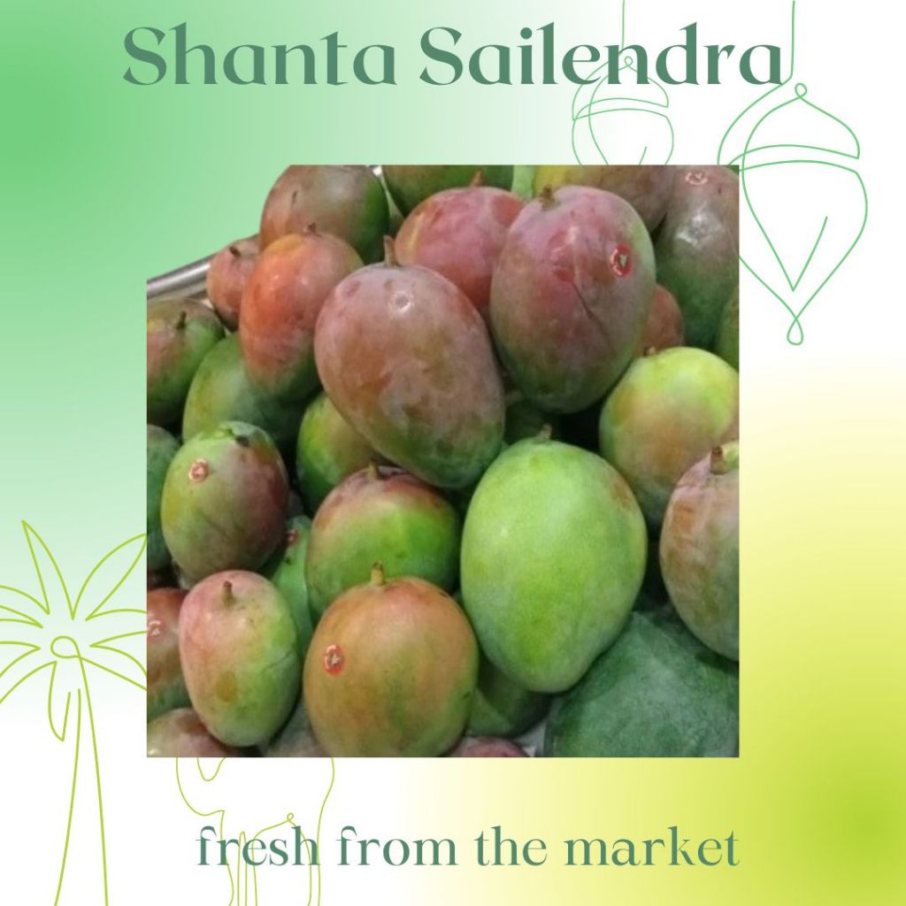 Jual MANGGA BRAZIL 1 KG | Shopee Indonesia