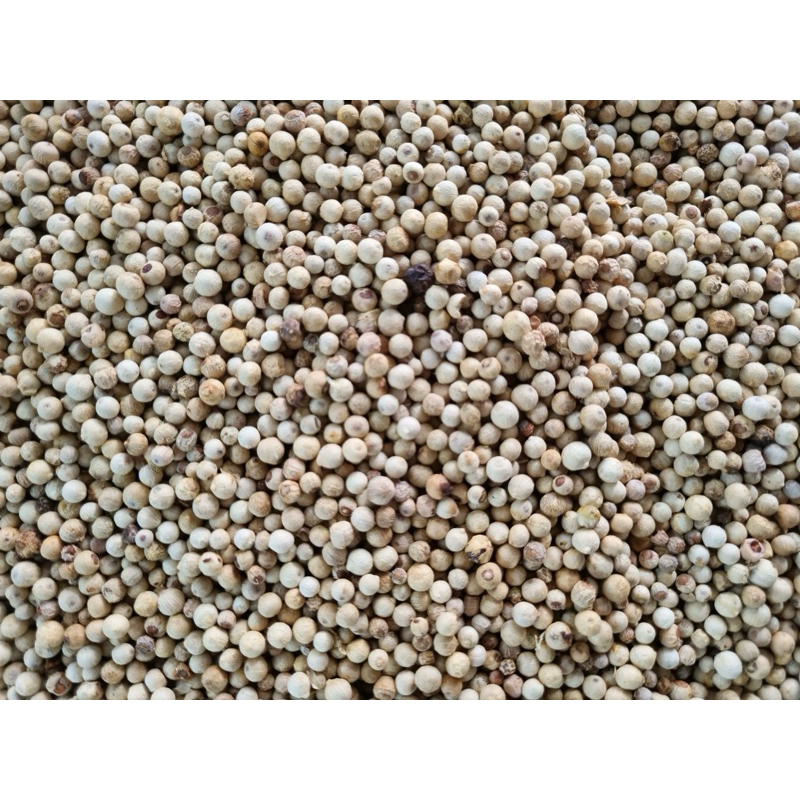 Jual Lada | Bumbu Dapur | 1 Kg | Shopee Indonesia