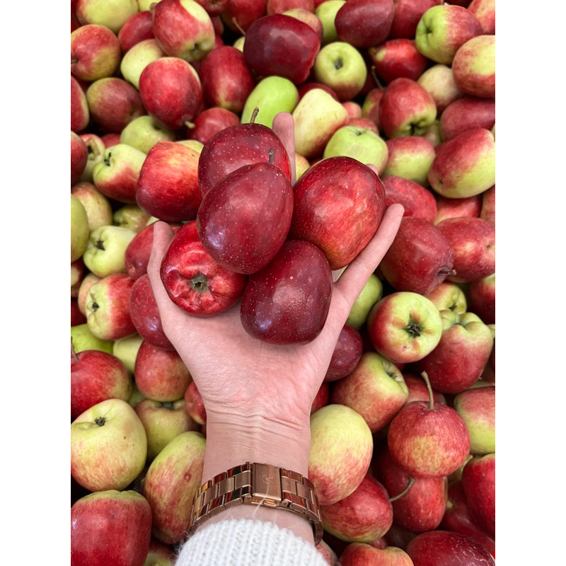 Jual Apel Ana Ukuran Kecil Cherry Mini 1kg Isi 22-28 Buah, Rasa Asam ...