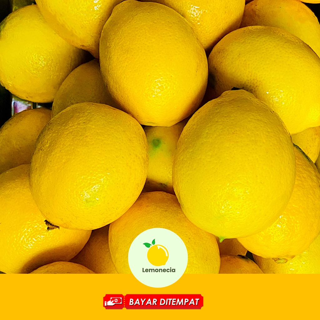Jual Buah Jeruk Lemon California Lokal Premium Jumbo 1000 gr by ...