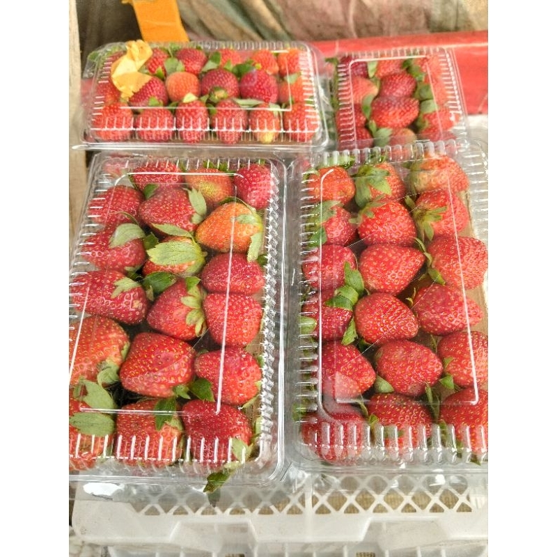 Jual Strawberry/ pack 200g | Shopee Indonesia