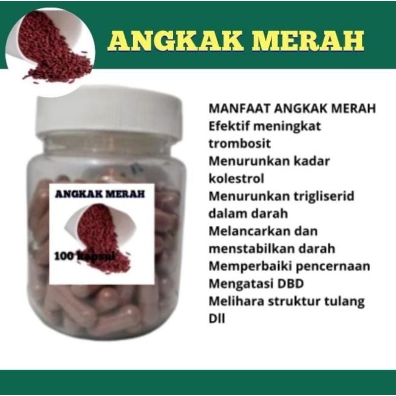 Jual ANGKAK MERAH 100 kapsul Curah Herbal TROMBOSIT KOlESTROl Mengatasi ...