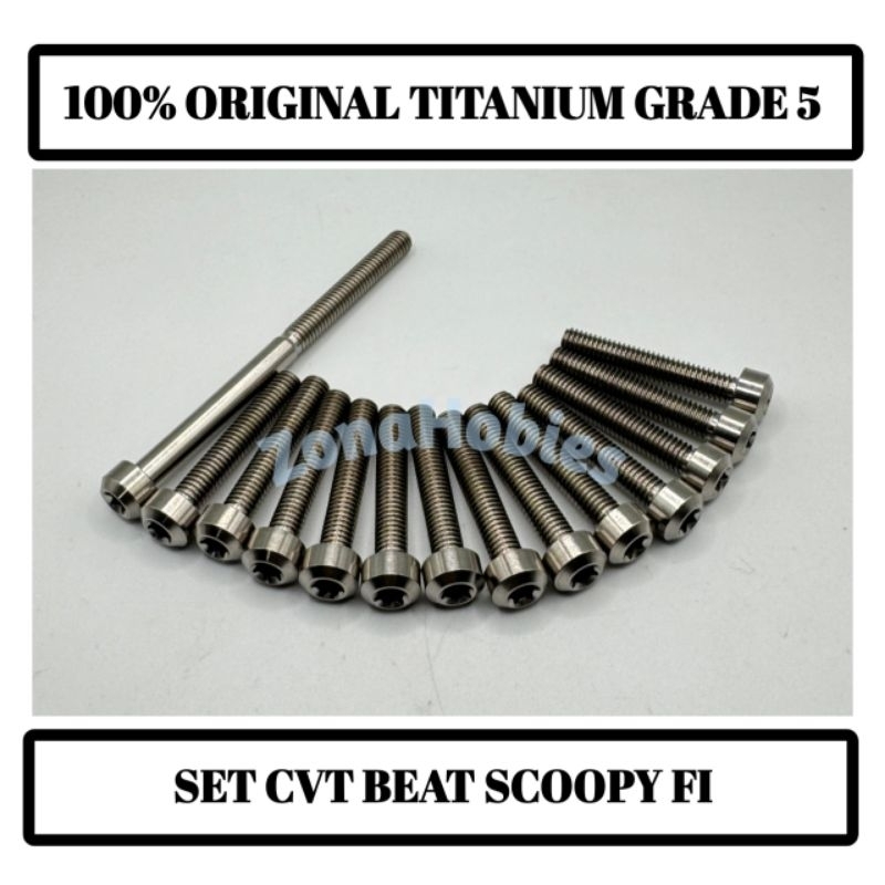 Jual CVT SET BEAT SCOOPY FI ISI 14 BAUT TITANIUM GR5 | Shopee Indonesia