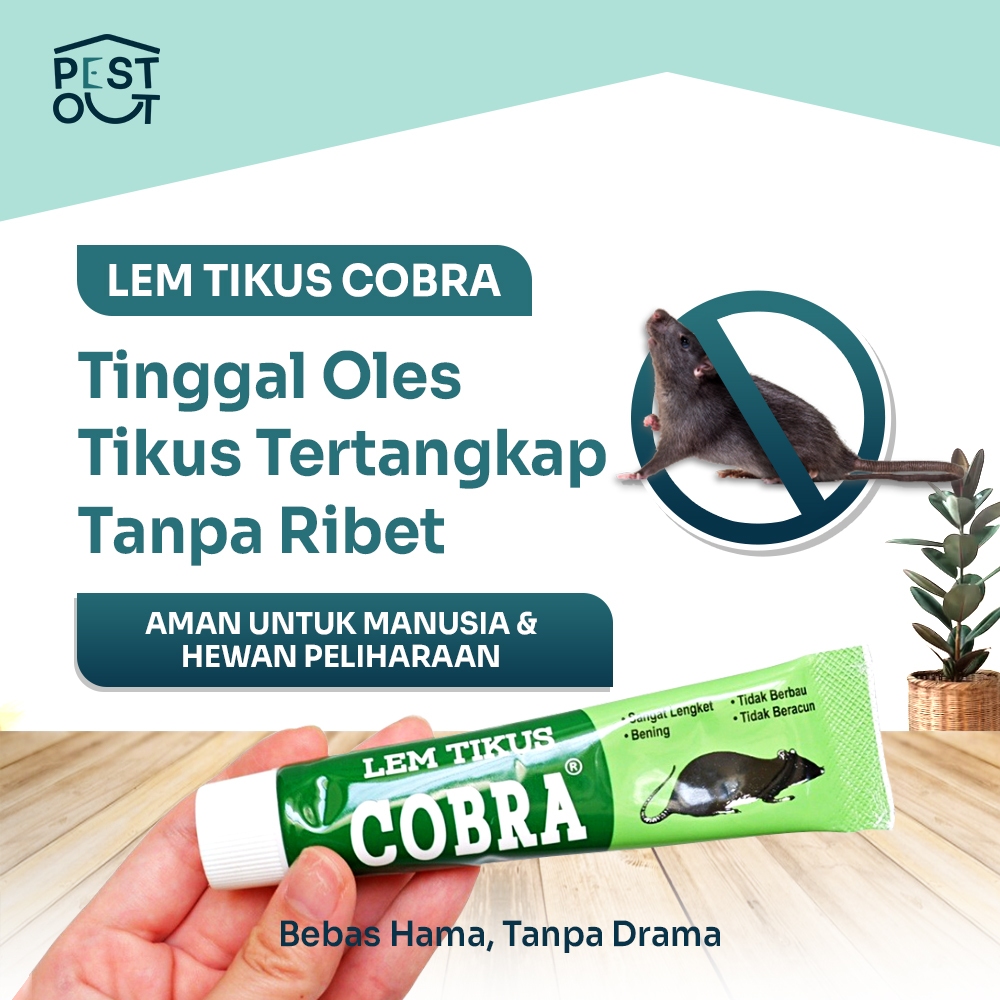 Jual Lem Tikus Cobra Original Super Lengket Lem Perangkap Tikus ...