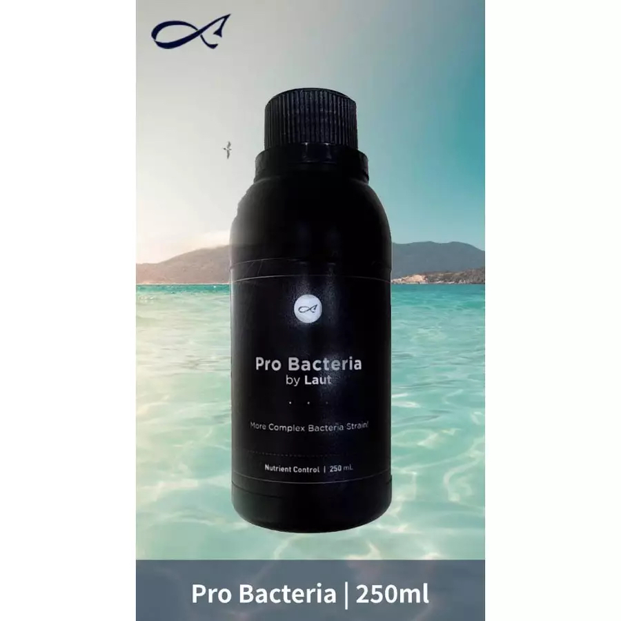Jual Pro Bacteria by Laut (Bactery Starter) Bakteri Cair Kolam Aquarium ...