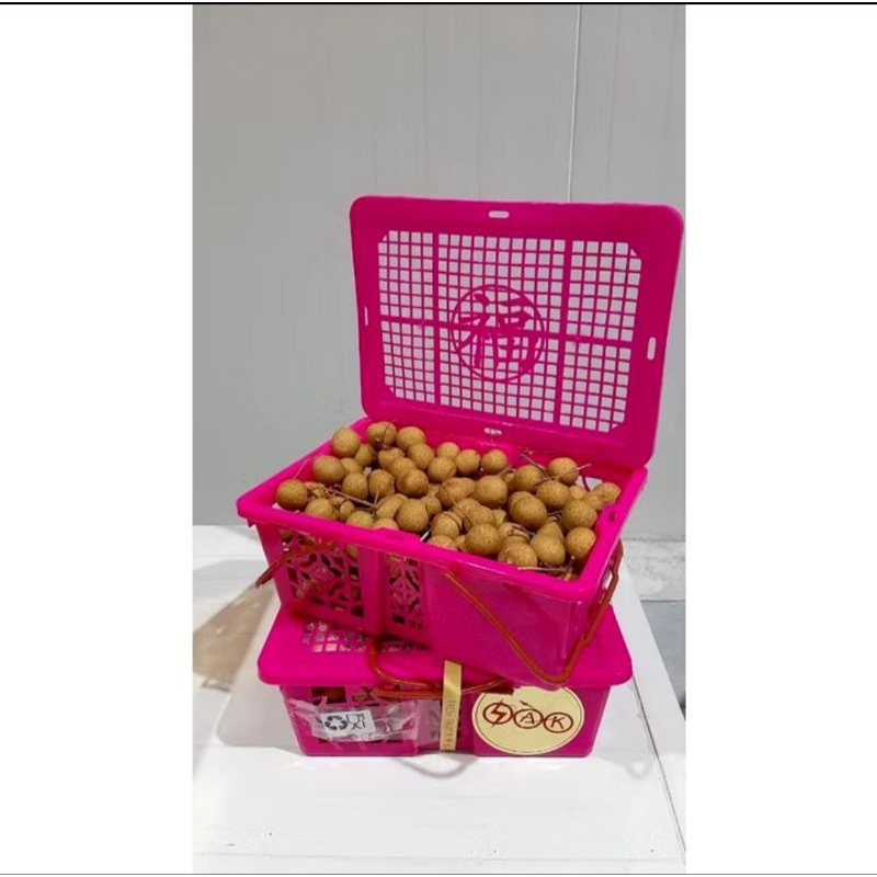 Jual Buah LONGAN / buah lengkeng GOLD GIFTPACK 3KG IMLEK 2024 MANIS ...