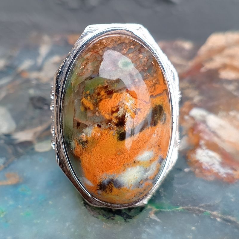 Jual Pancawarna Garut Karwi Orange Darson | Shopee Indonesia