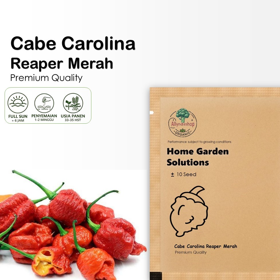 Jual 10 Biji - Bibit benih Cabe Carolina Reaper Merah Cabai Terpedas ...