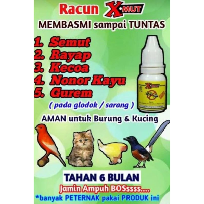 Jual RACUN SUPER X-MUT untuk semut Rayap kecoa nomor kayu gurem dan ...