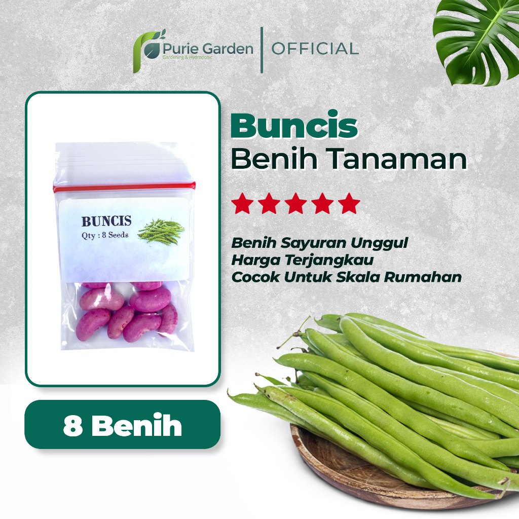 Jual Benih Bibit Buncis 8 Benih PG KDR | Shopee Indonesia