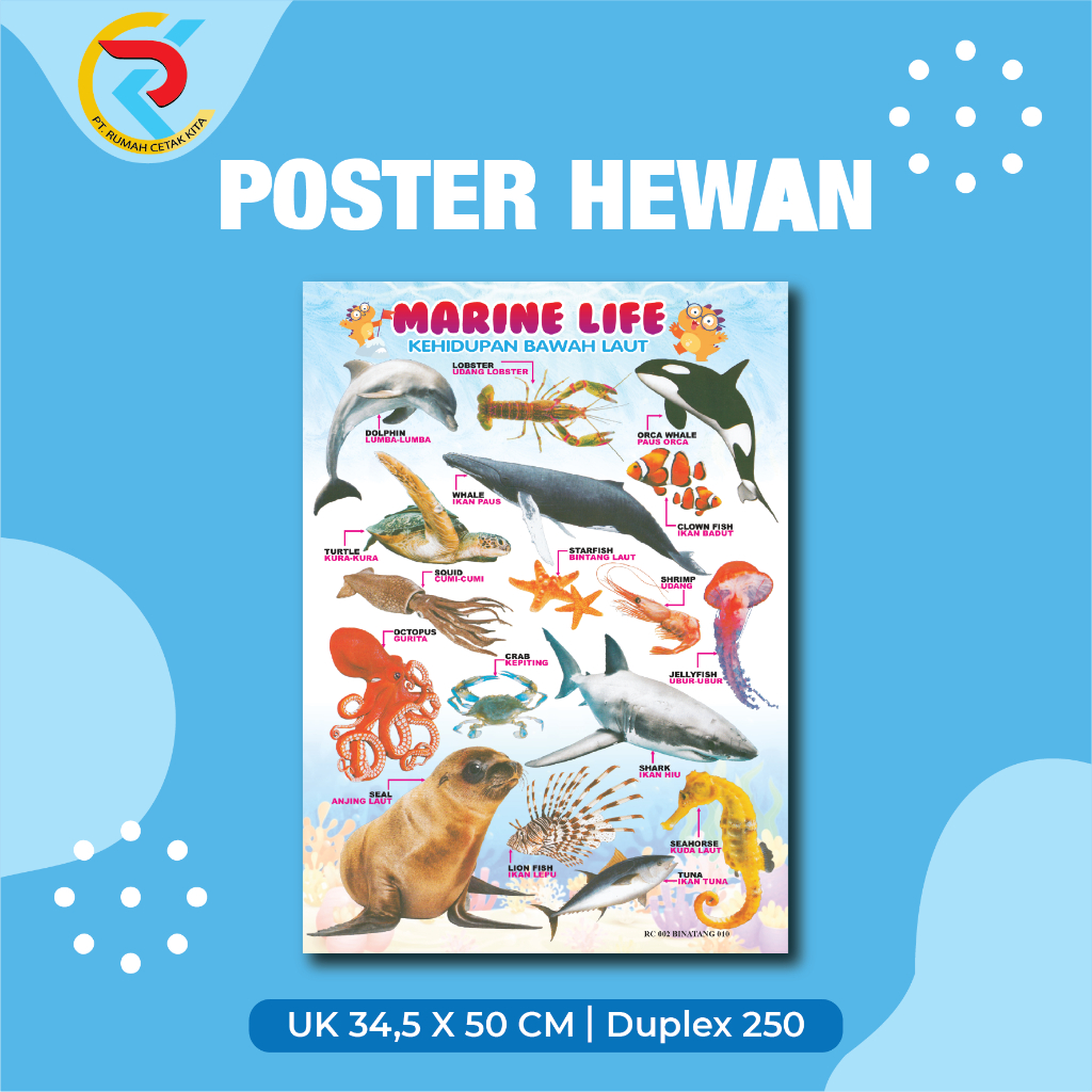 Jual Poster Edukasi Anak Aneka Hewan 10 | Hiasan Dinding Ruangan Kelas ...