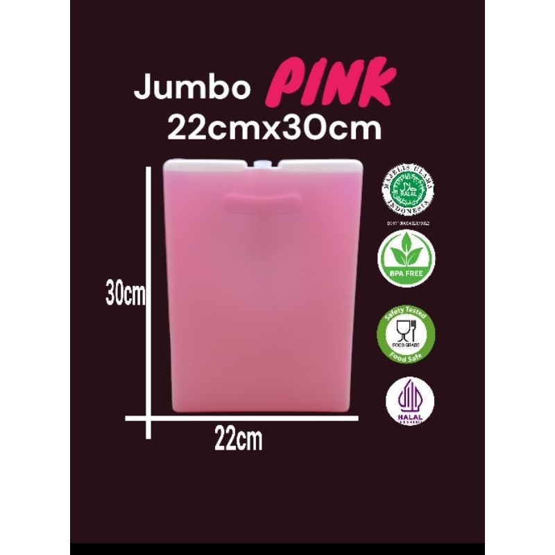 Jual ICE PACK PINK 22x30 Jumbo Pink Blue Ice 30x22cm Besar PENGGANTI ...