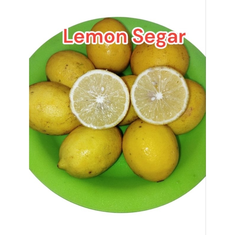 Jual Lemon California | Shopee Indonesia