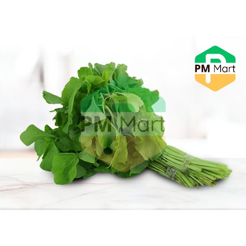 Jual Sayur Bayam Segar 1 ikat | Shopee Indonesia