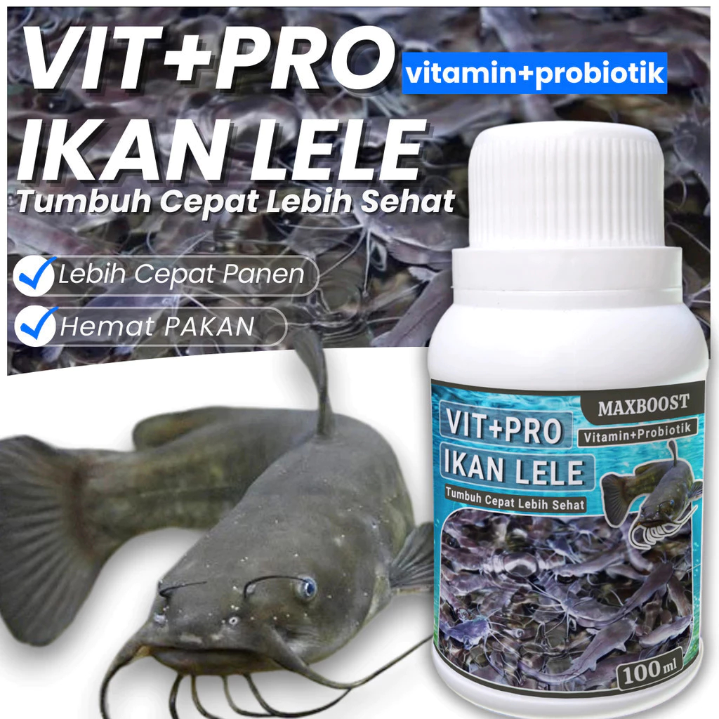 Jual Original Maxboost Vitamin+Probiotik Ikan Lele 100ml pemacu ...