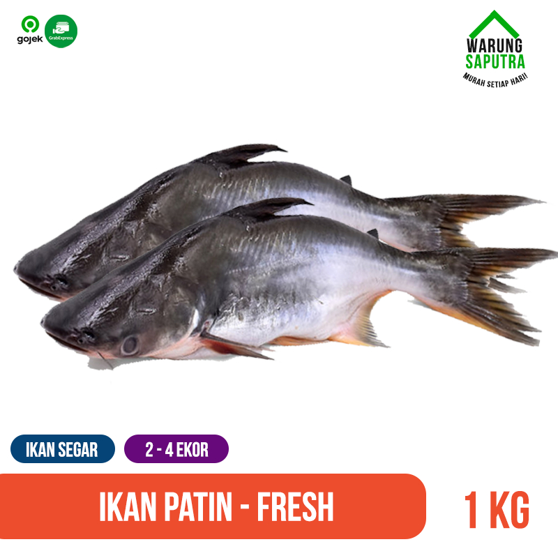 Jual Ikan Patin / Catfish Mati Segar Utuh 1 kg | Shopee Indonesia