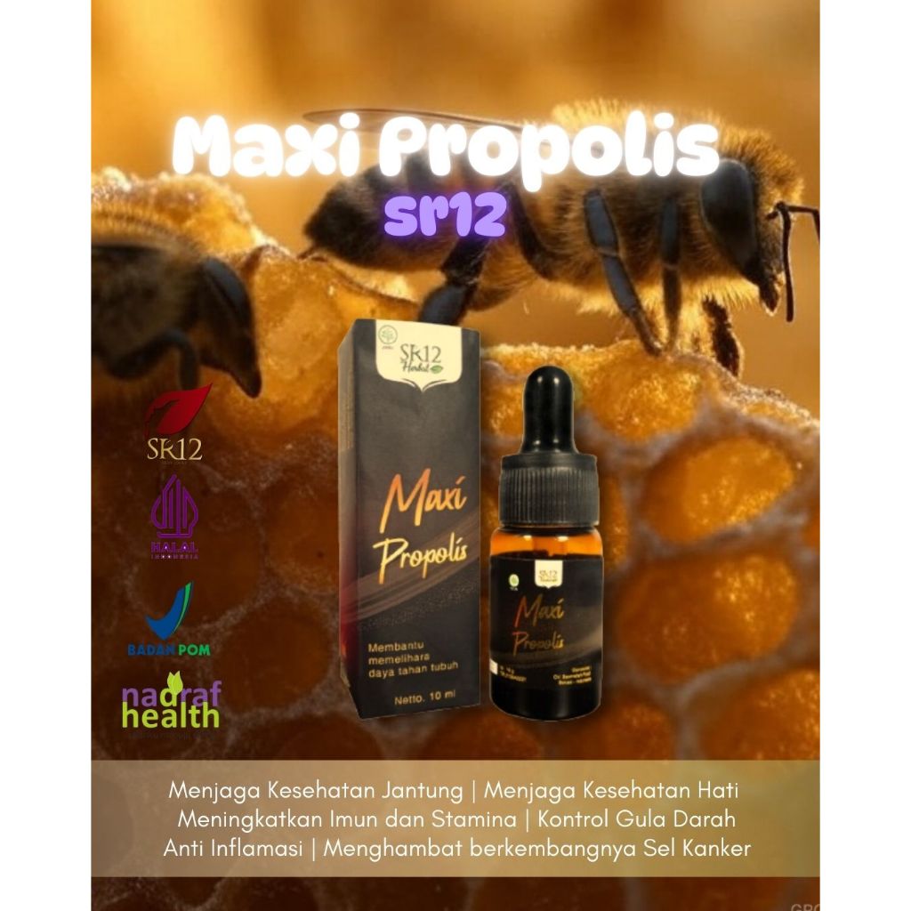 Jual Maxi Propolis SR12 | Tingkatkan Imun dan Stamina | Anti Inflamasi | Kontrol Gula Darah ...