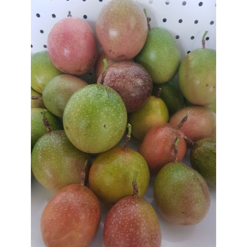 Jual Buah markisa segar 1kg/Buah markisa kwalitas super/Hijau/Buah markisa fresh/Buah markisa ...