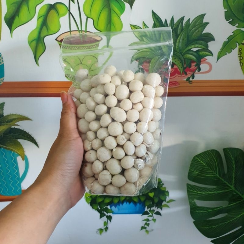 Jual KACANG ATOM PUTIH / KACANG ATOM SUKRO 250G | Shopee Indonesia