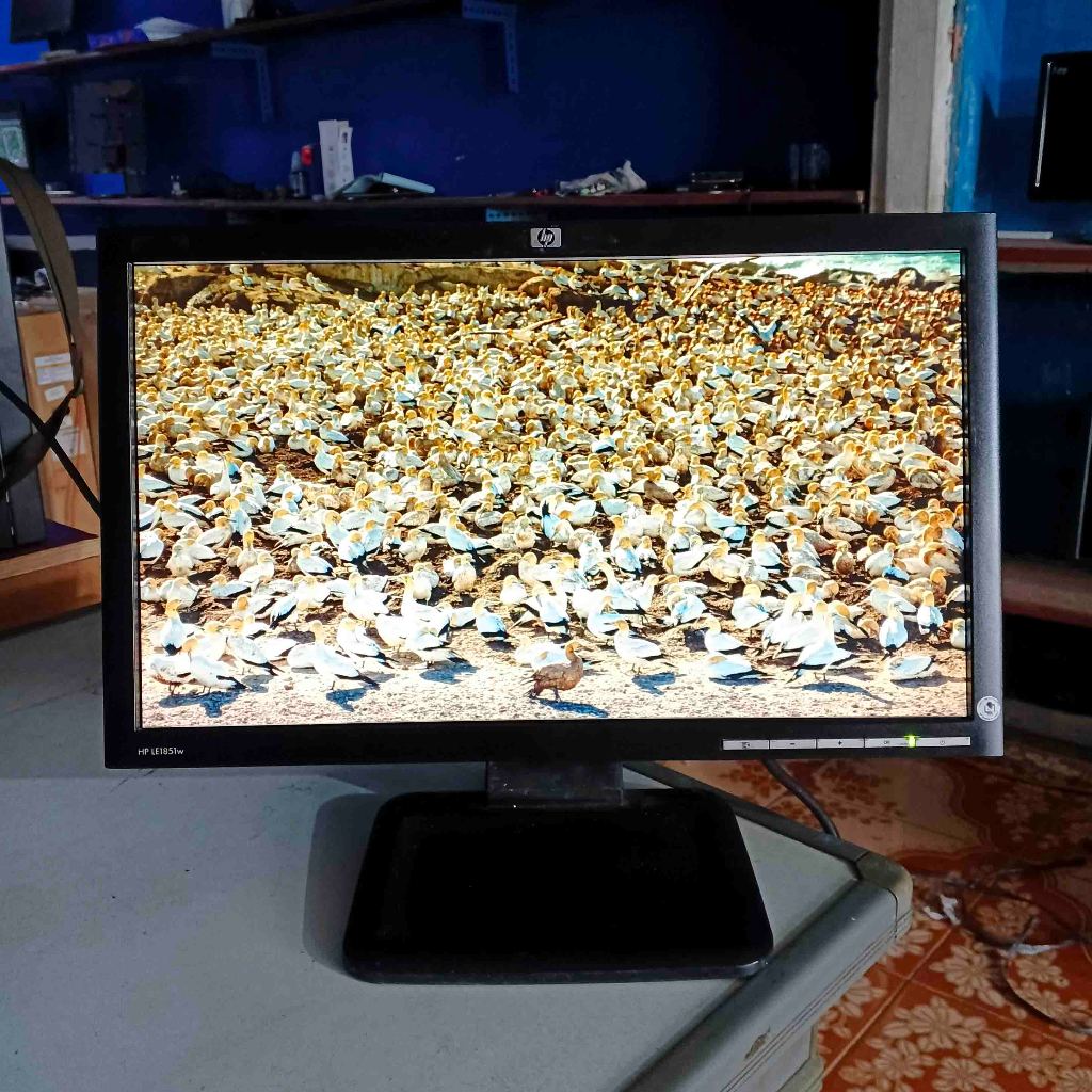 Jual Monitor Lcd Merk HP LE1851w Ukuran Layar 19 Inch Kondisi Normal ...