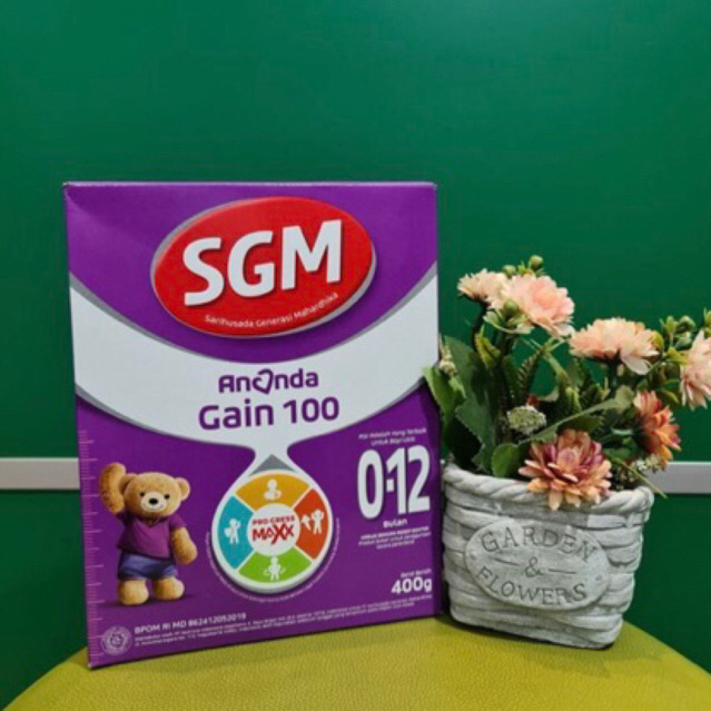 Jual SGM Ananda Gain 100 400g | Shopee Indonesia