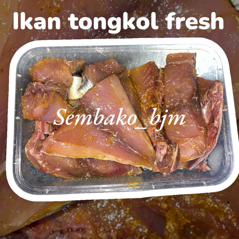 Jual ikan tongkol fresh | Shopee Indonesia