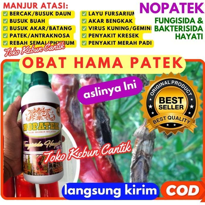 Jual Racun Hitam Lombok – NOPATEK Fungisida Hayati, Pencegahan dan ...