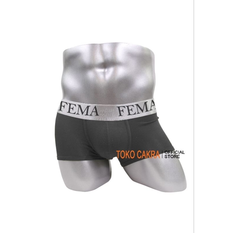 Jual FEMA - 3 biji celana dalam pria / boxer pria | Shopee Indonesia