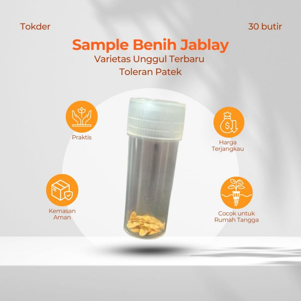 Jual Sample Benih Cabe Rawit Tipe JABLAY | Shopee Indonesia