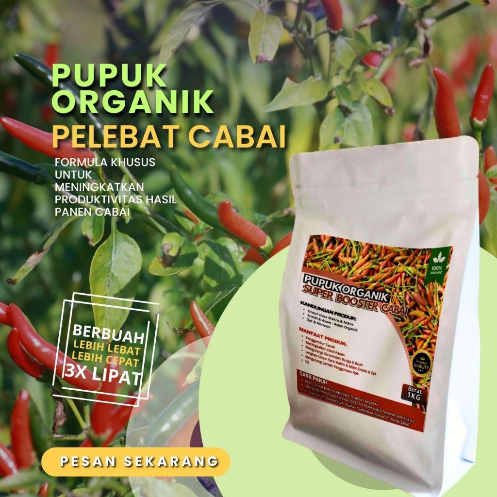 Jual Pupuk Cabe Rawit Granulle untuk Masa Pertumbuhan Pelebat Buah dan Menghindari Keriting ...