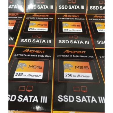 Jual SSD Moment MS16 256GB Made in Taiwan | Shopee Indonesia