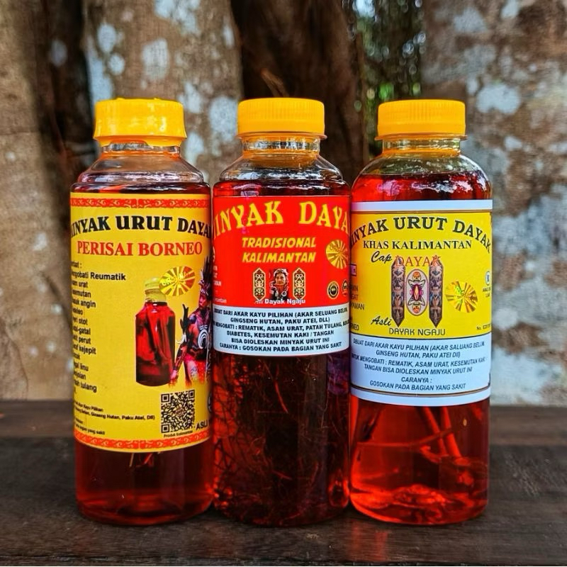 Jual Hemat Paket 3 botol Minyak Urut Dayak asli 250Ml | Shopee Indonesia