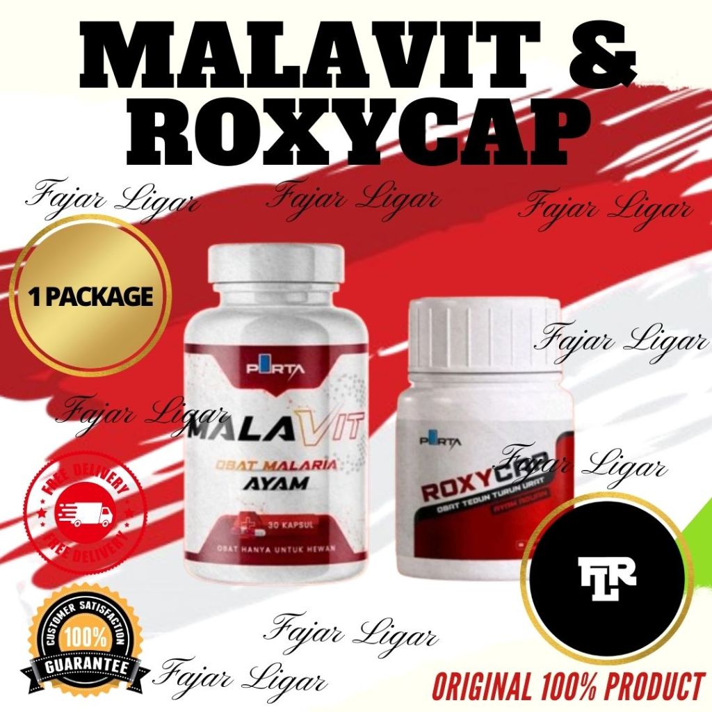 Jual PAKET OBAT SAKIT KAKI AYAM LUMPUH TURUN URAT PINCANG (ROXYCAP ...