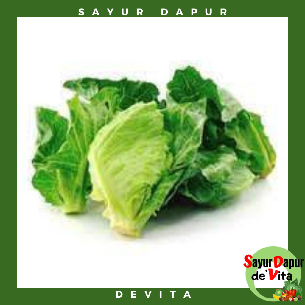 Jual Sayur Cuciwis, Keciwis, Siwil, Siwilan, Baby Kol, 250 gram ...