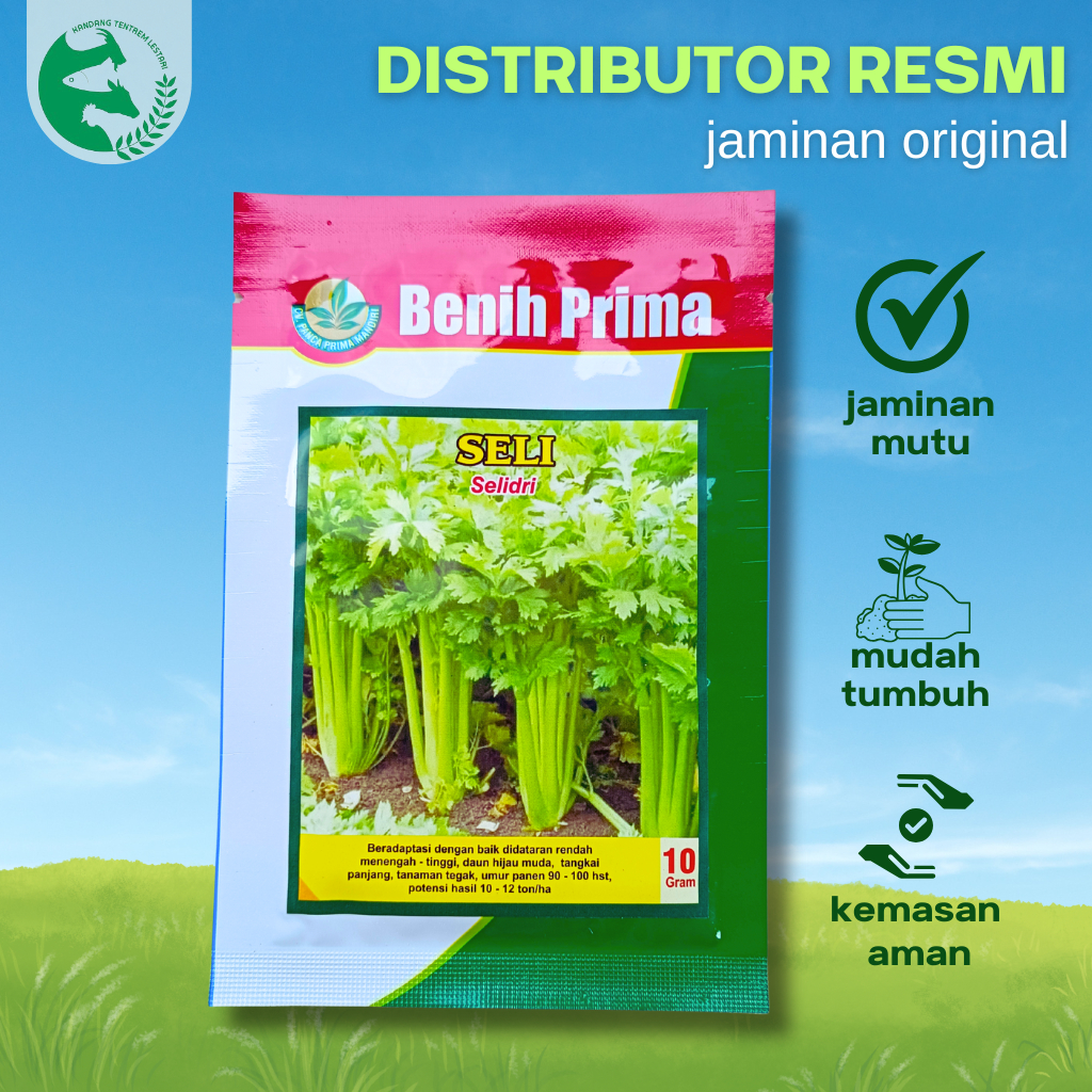 Jual Benih Seledri SELI 10 Gram Batang Besar Berbobot Cap Benih Prima ...